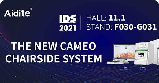 爱迪特中文官网